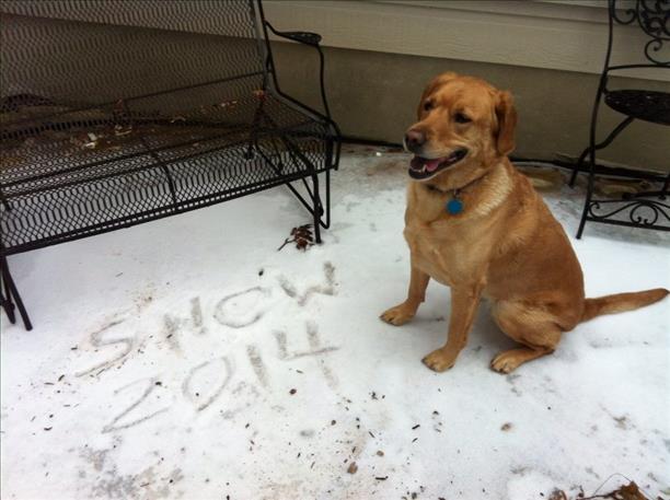 #Snowpocalypse in Austin | kvue.com