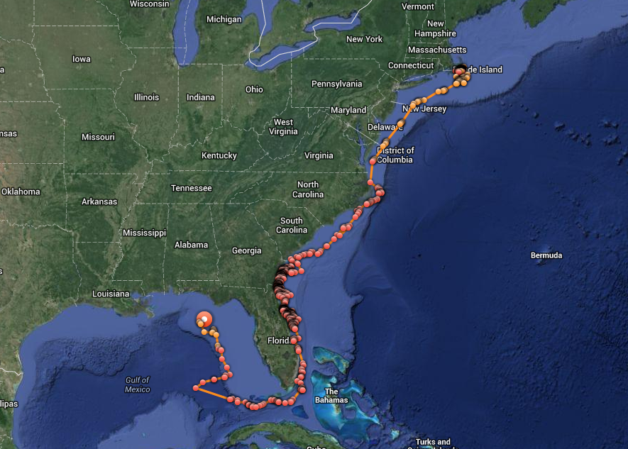 Experts tracking great white shark say it may be bound for Texas | kvue.com