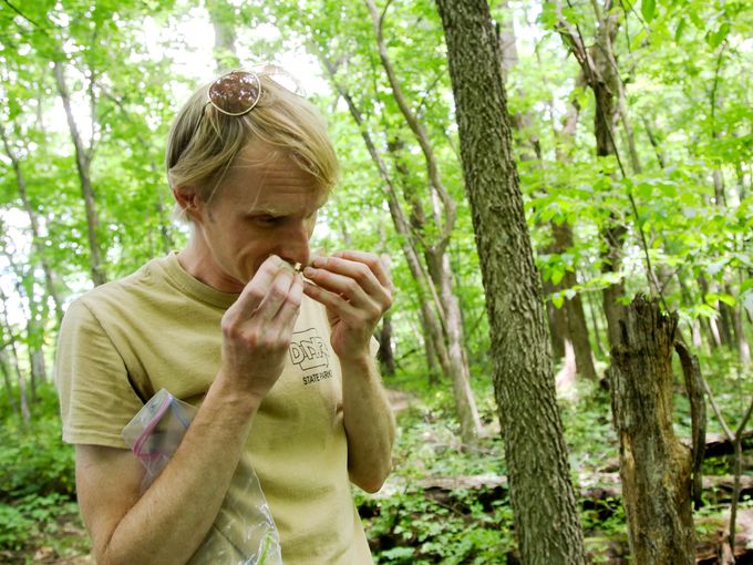 Foraging: Picking from nature's all-you-can-eat buffet | kvue.com