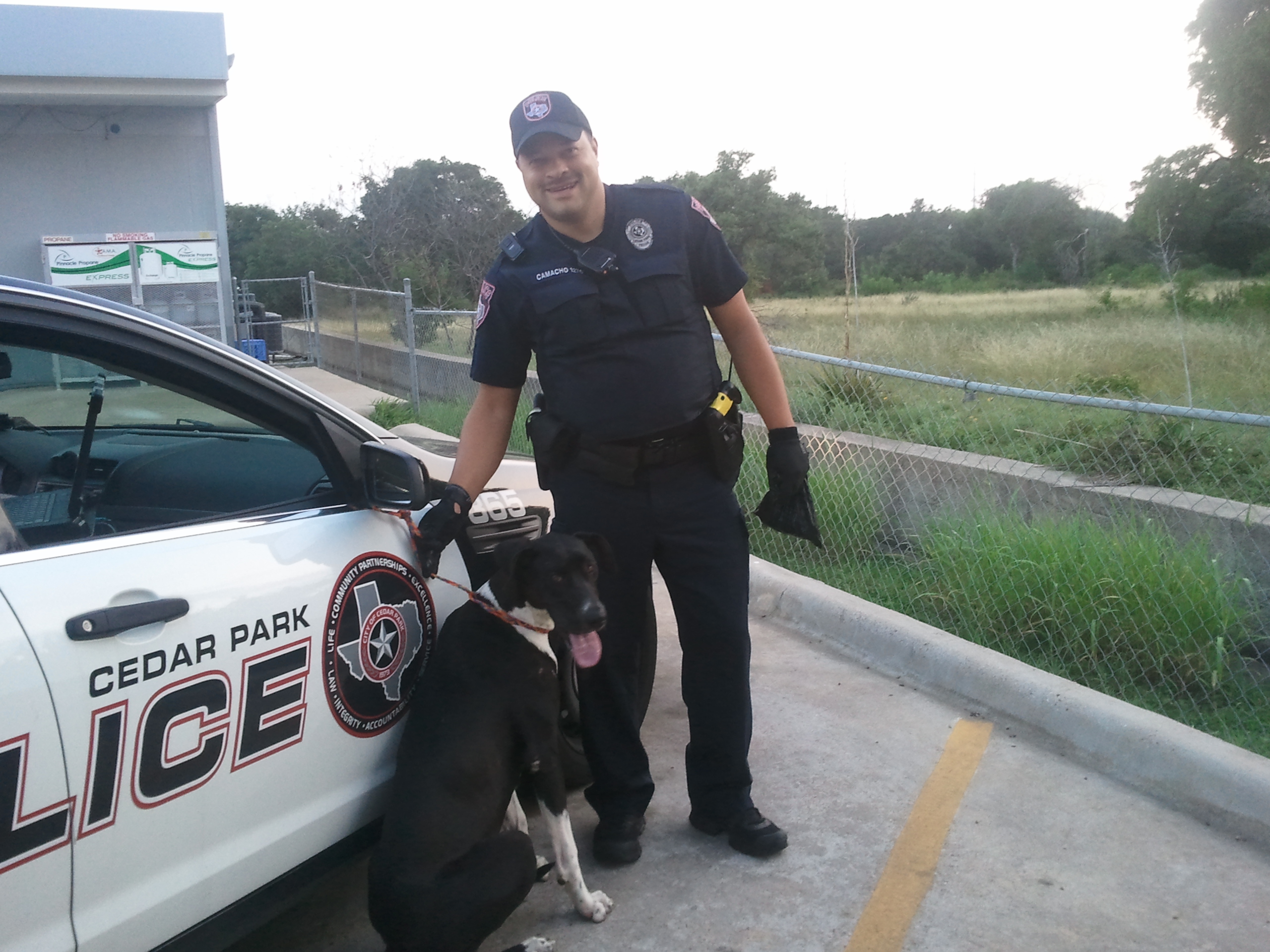 Police officer saves Great Dane from rush-hour traffic | kvue.com