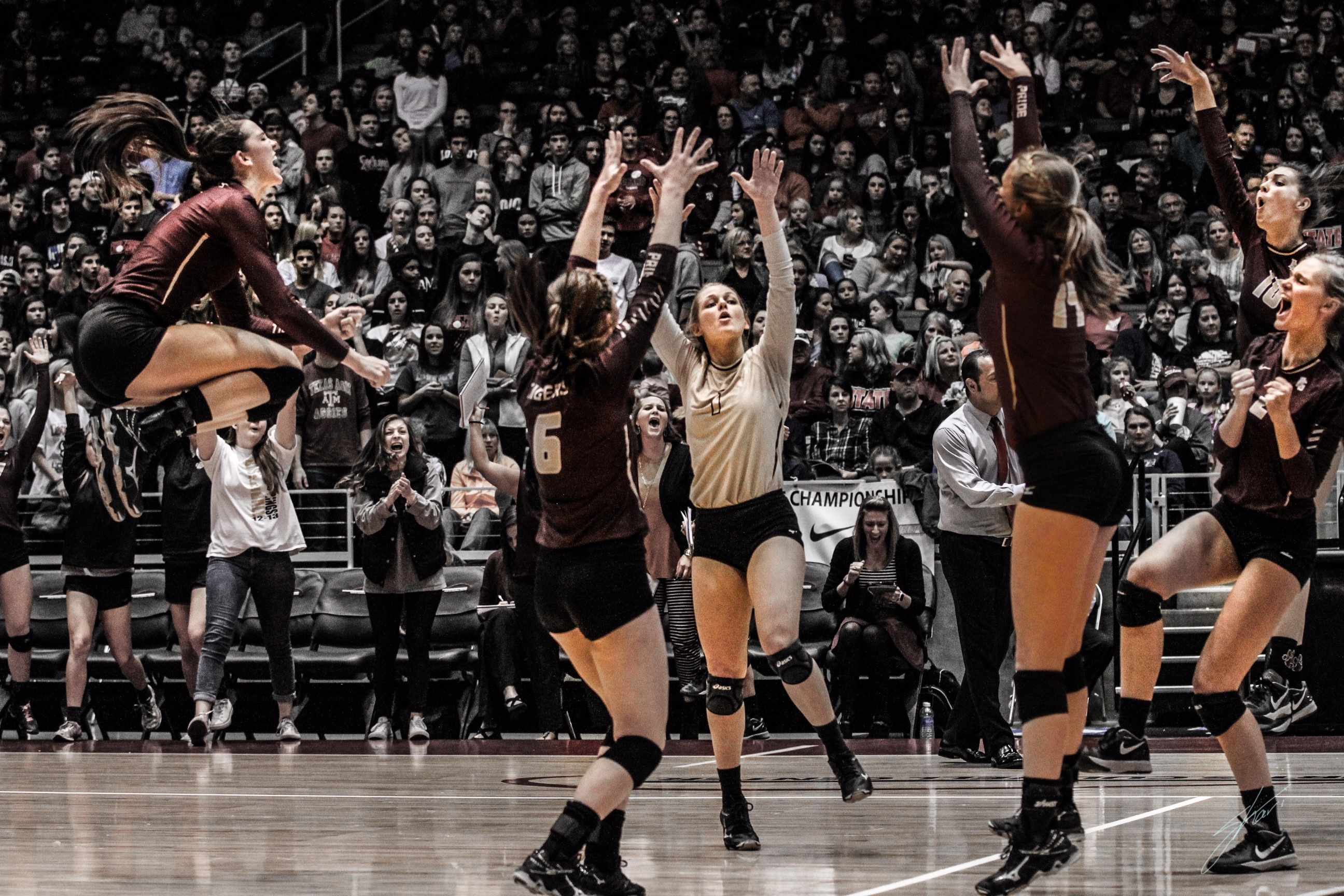 Dripping Springs wins state volleyball title | kvue.com