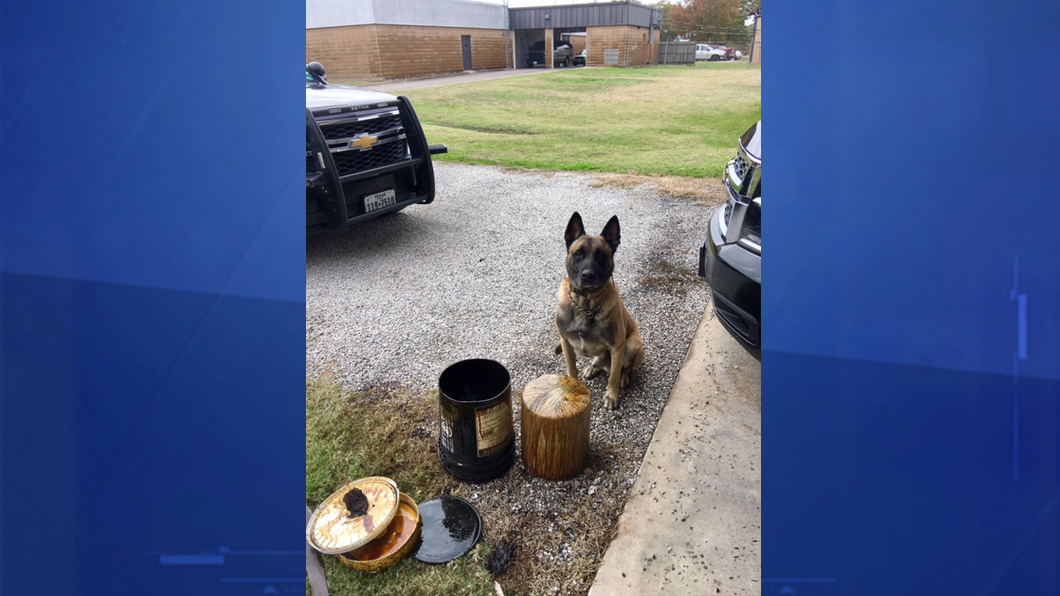 K9 Lobos finds more than 20 pounds of marijuana during traffic stop ...